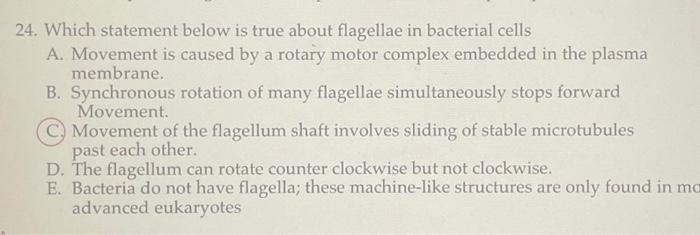 Solved 24. Which statement below is true about flagellae in | Chegg.com