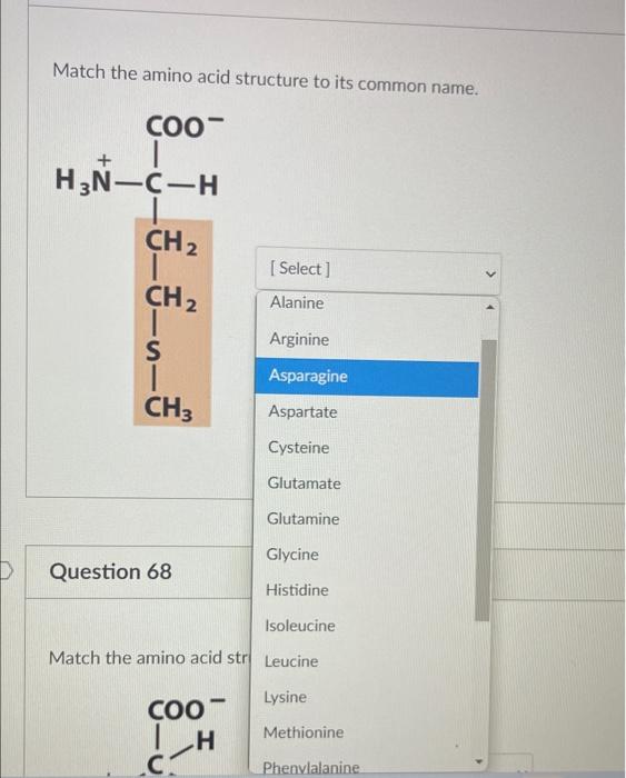 Solved Match the amino acid structure to its common name. | Chegg.com