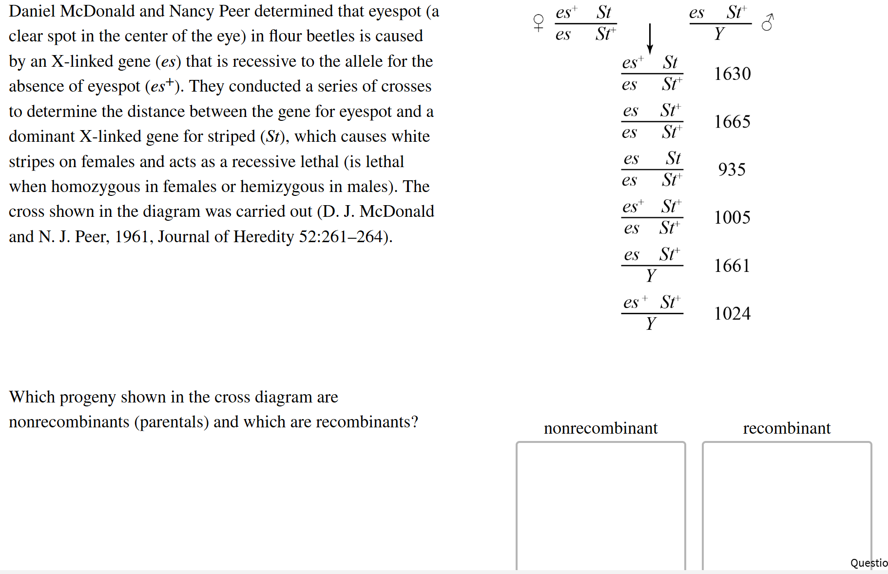 Solved (es+) ﻿Daniel McDonald and Nancy Peer determined that | Chegg.com