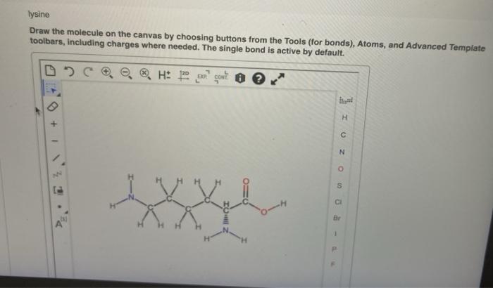 Solved lysine Draw the molecule on the canvas by choosing | Chegg.com