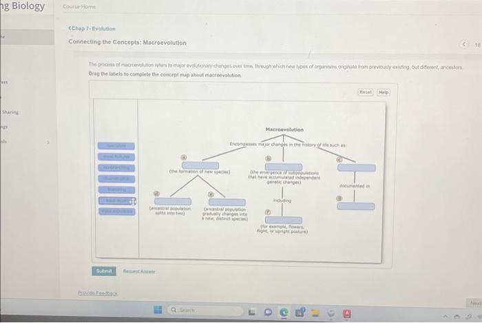 Solved Drag the labels to complete Bee conctpt map about | Chegg.com