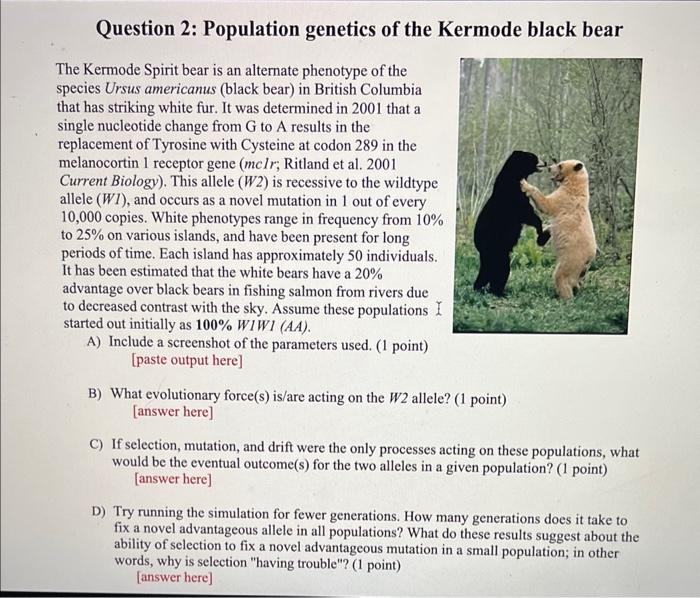 Solved Question 2: Population genetics of the Kermode black | Chegg.com