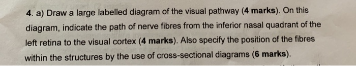 Solved 4. a) Draw a large labelled diagram of the visual | Chegg.com