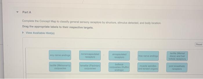 Part A Complete the Concept Map to classily general | Chegg.com