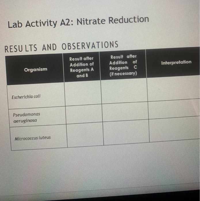 Lab Activity A2: Nitrate Reduction RESULTS AND | Chegg.com