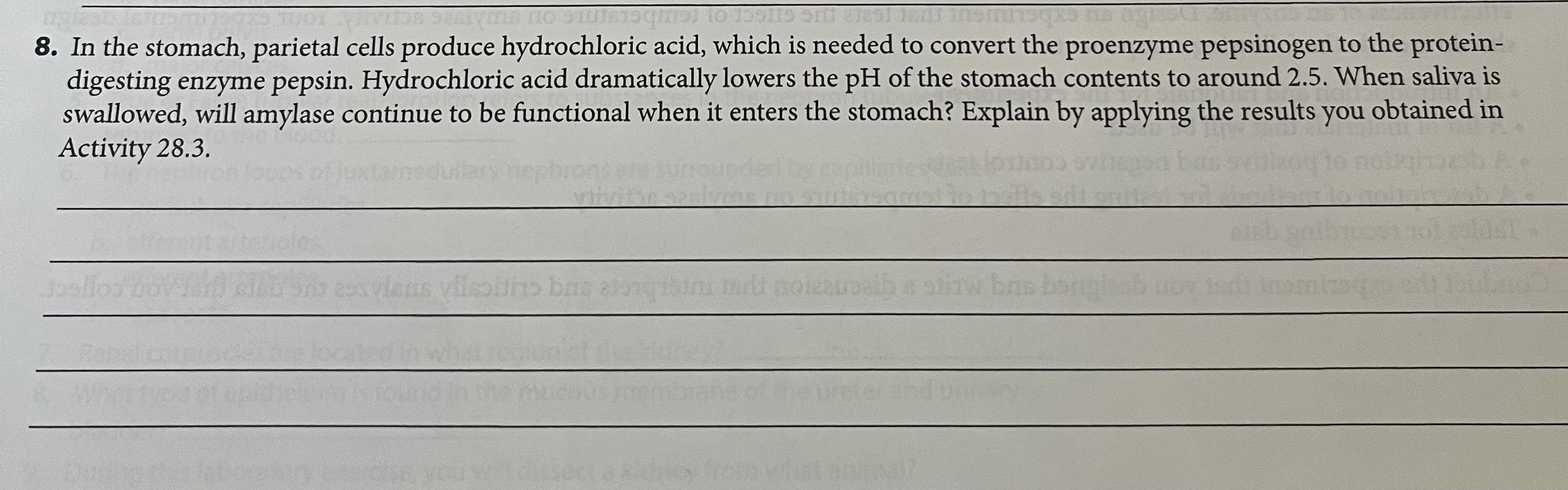 Solved 8. ﻿In the stomach, parietal cells produce | Chegg.com