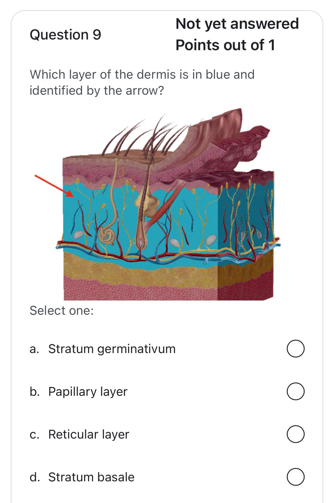 Solved Question 9Not yet answeredPoints out of 1Which layer | Chegg.com