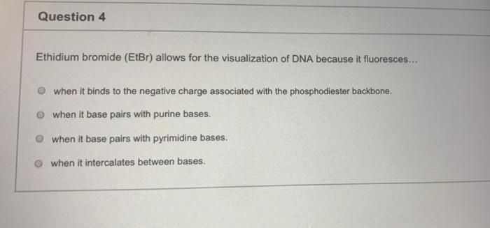 Solved Question 4 Ethidium bromide (EtBr) allows for the | Chegg.com
