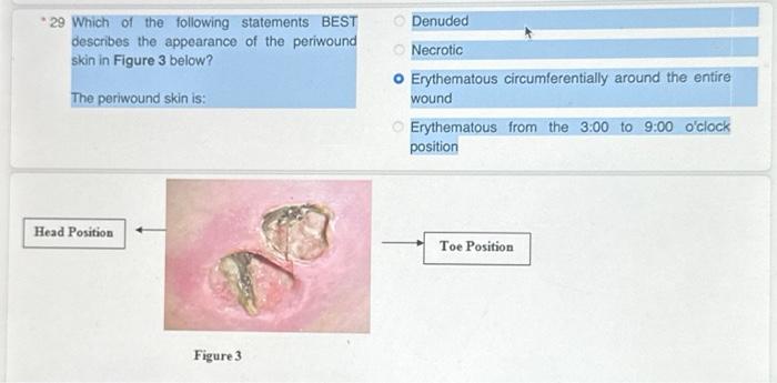 [Solved]: 29 Which of the following statements BEST describ