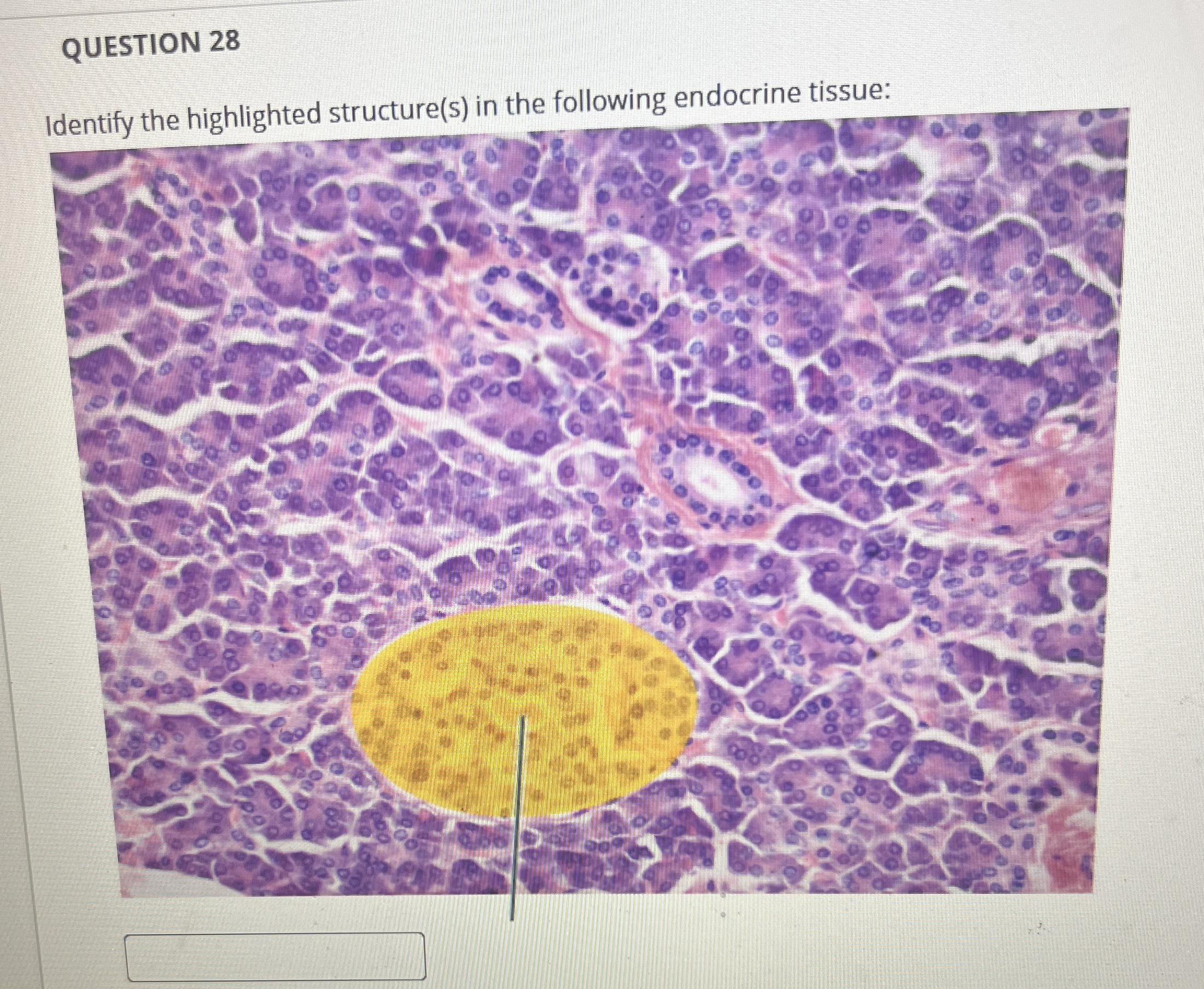 Solved QUESTION 28Identify the highlighted structure(s) ﻿in | Chegg.com