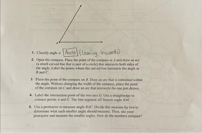 Solved A 1. Classify angle 4. Acute (Leaning inwards) 2. | Chegg.com