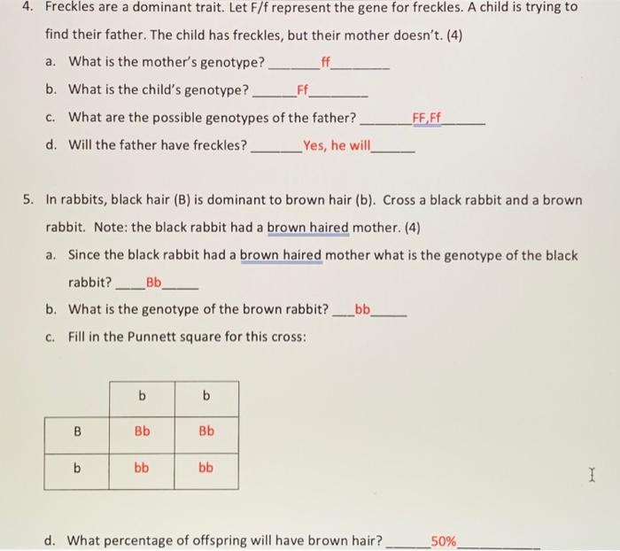 Solved 4. Freckles are a dominant trait. Let F/f represent | Chegg.com