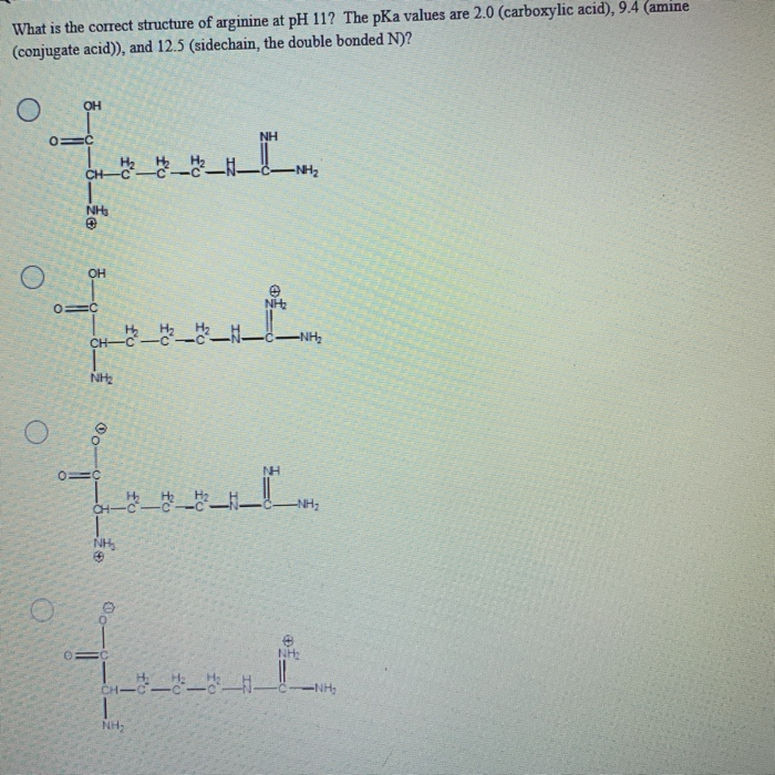 Solved What is the correct structure of arginine at pH 11? | Chegg.com