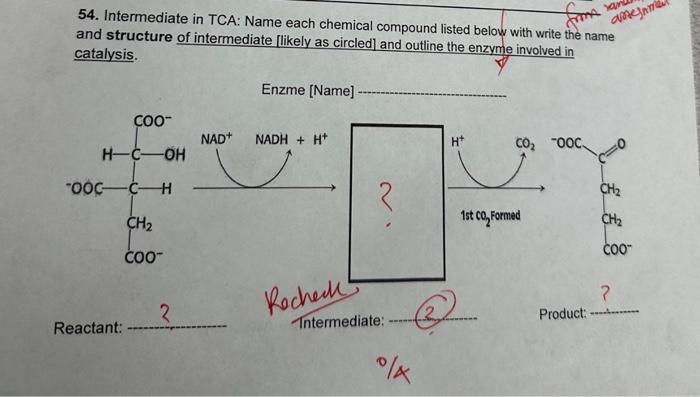 Solved 54. Intermediate in TCA: Name each chemical compound | Chegg.com