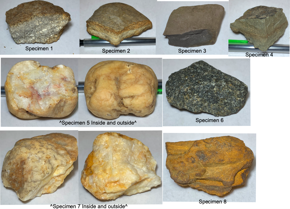 Solved What is the name of the rock specimens and explain | Chegg.com