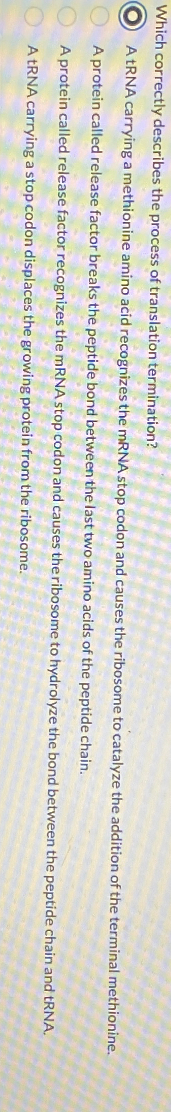 Solved Which correctly describes the process of translation | Chegg.com
