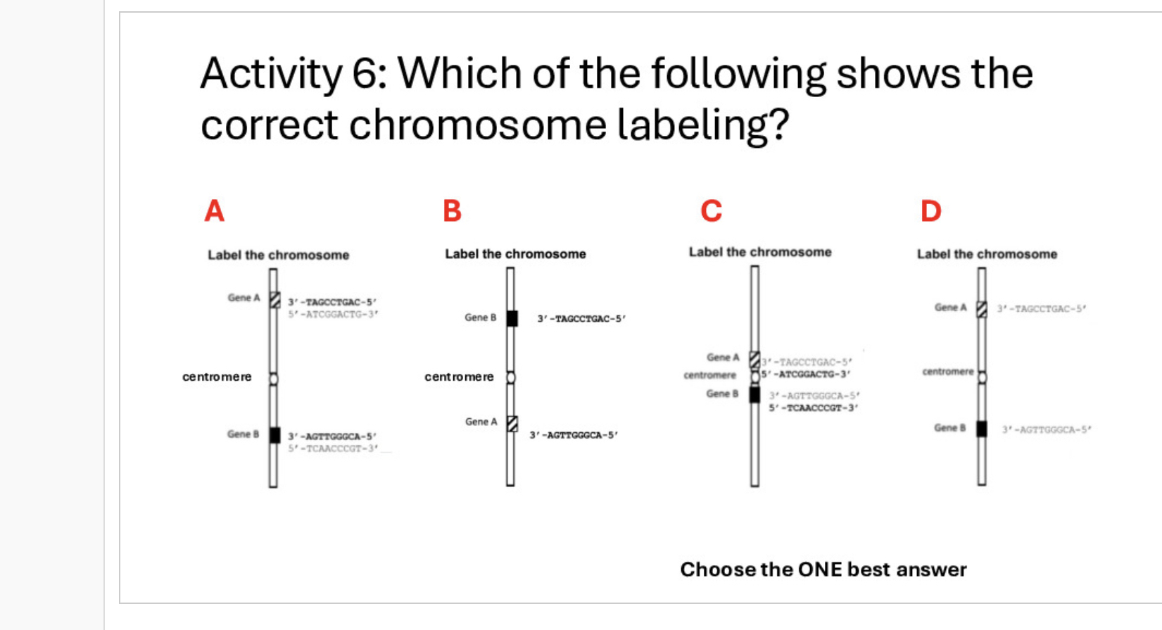 Solved Activity 6: Which of the following shows the correct | Chegg.com