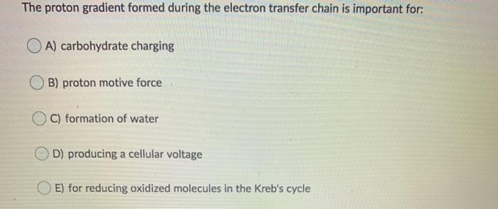 Solved The proton gradient formed during the electron | Chegg.com