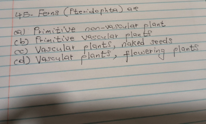 Solved 45-Ferns (Pteridophta) ﻿are(a) ﻿Primitive | Chegg.com