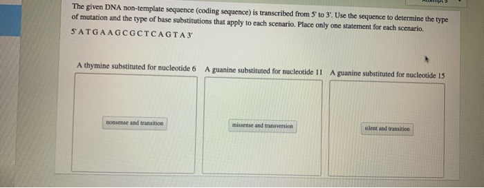 Solved The given DNA non-template sequence (coding sequence) | Chegg.com Solved The given DNA non-template sequence (coding sequence) | Chegg.com