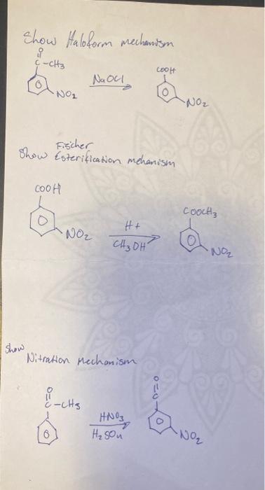Solved NaOCl Ohww Fischer Show Esterification mehanism Show | Chegg.com