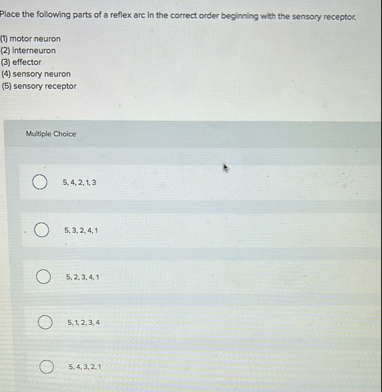 Solved Place the following parts of a reflex arc in the | Chegg.com