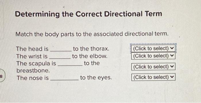 Solved Determining the Correct Directional Term Match the | Chegg.com