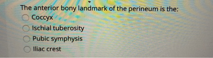 Solved The anterior bony landmark of the perineum is the: | Chegg.com