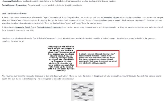 Solved Monocular Depth Cues: familar slize, relative slae. | Chegg.com