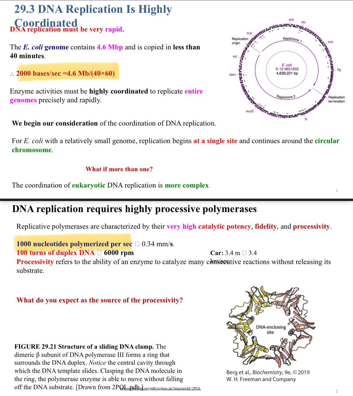 Solved Why are they different?Velocity of dna replication. | Chegg.com