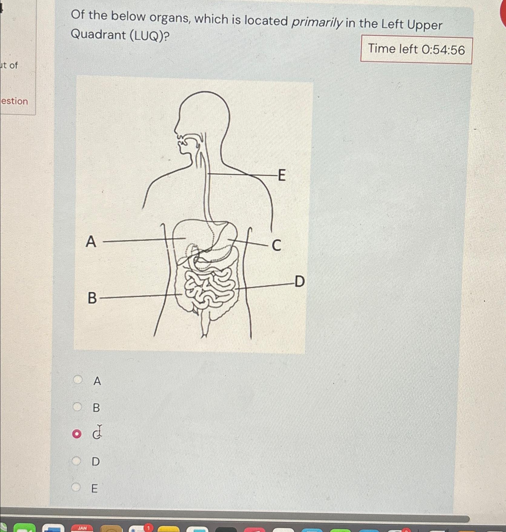 Solved Of the below organs, which is located primarily in | Chegg.com