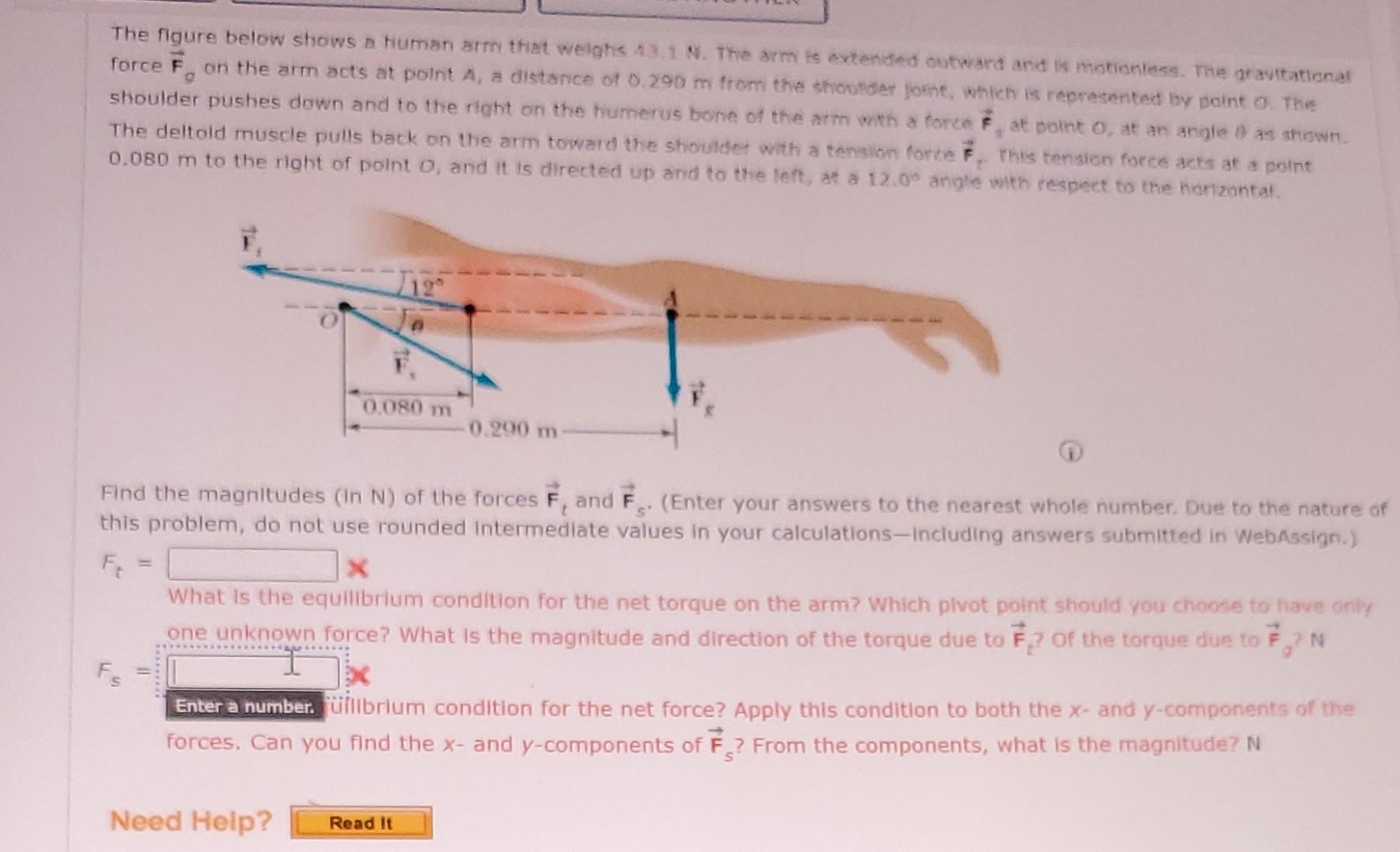 Solved The figure below shows a human arm that weighs 43.1 | Chegg.com