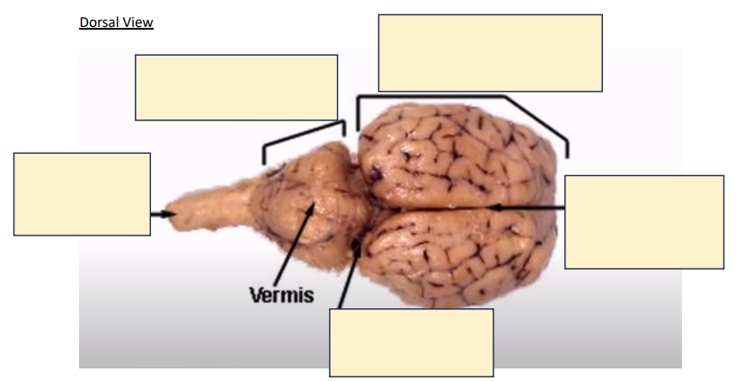 Solved Label each box with its corresponding name of part of | Chegg.com