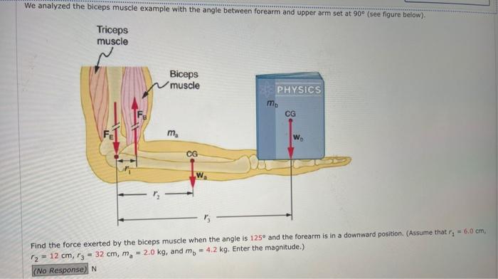 Solved We analyzed the biceps muscle example with the angle | Chegg.com