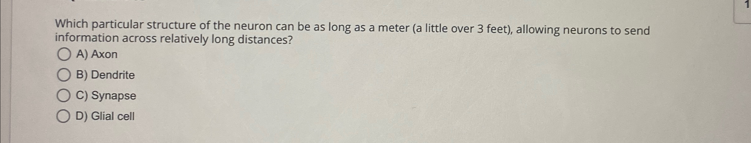 Solved Which particular structure of the neuron can be as | Chegg.com