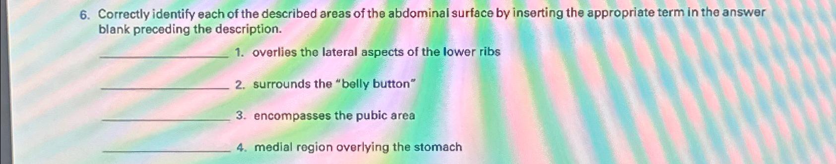 Solved Correctly identify each of the described areas of the | Chegg.com