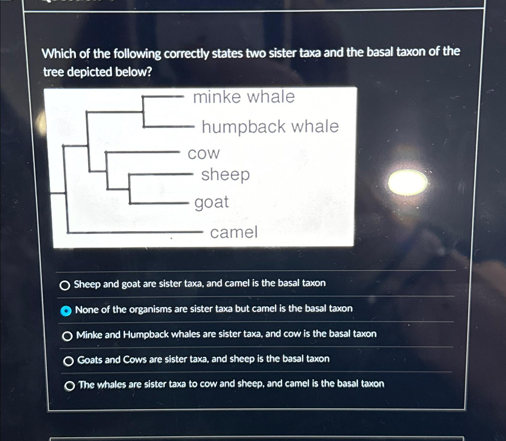 Solved Which of the following correctly states two sister | Chegg.com