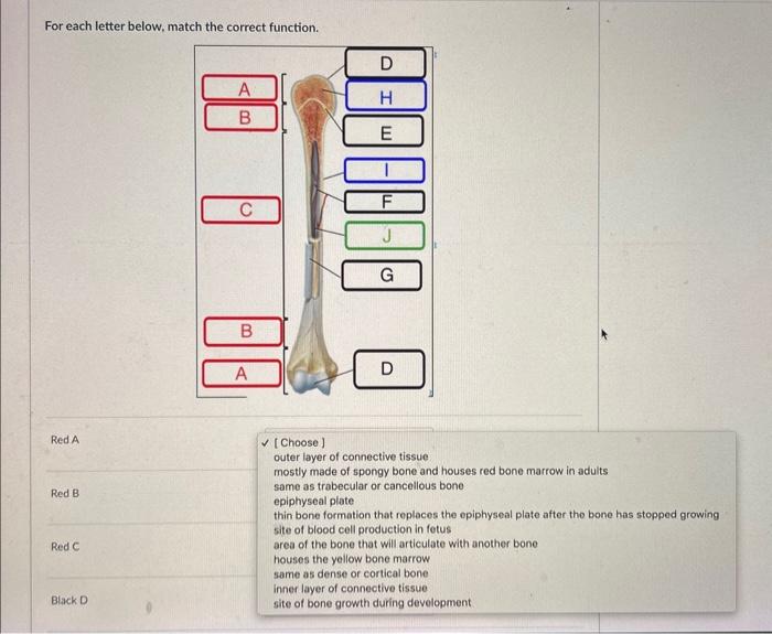 Solved For each letter below, match the correct function. | Chegg.com