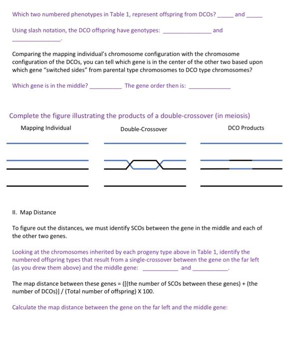 Solved Determining single-crossovers (SCOs), | Chegg.com