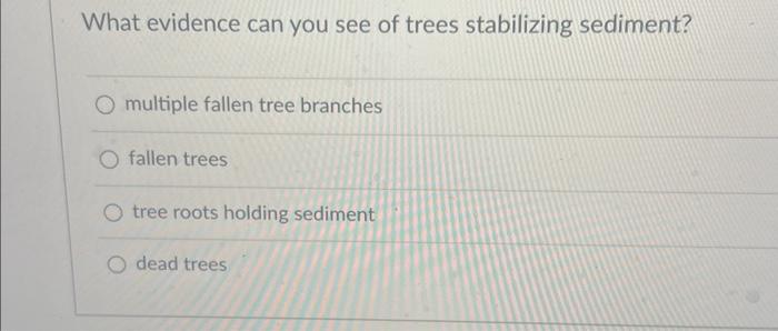 Solved What evidence can you see of trees stabilizing | Chegg.com