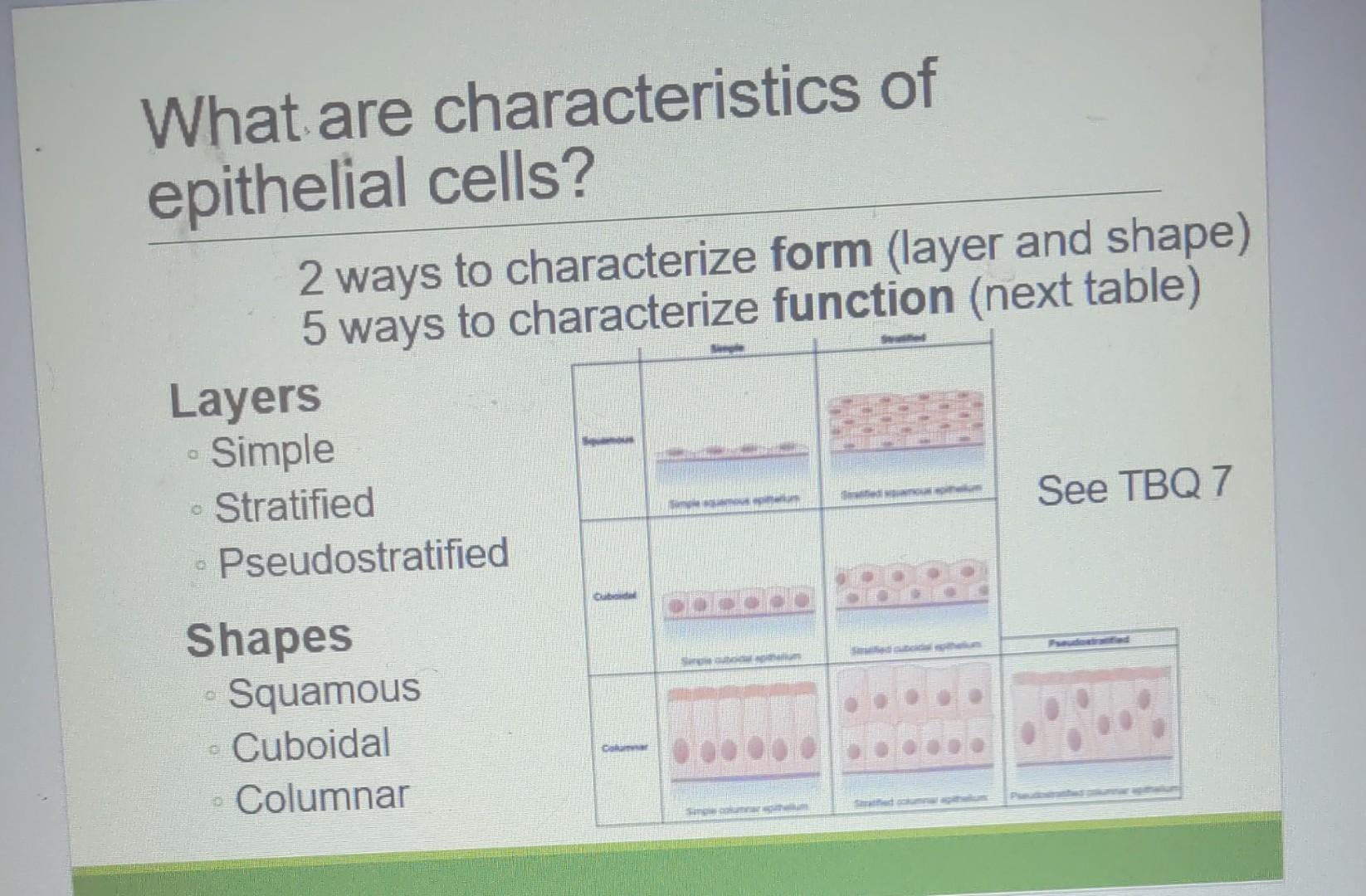 Solved 1. In Fig 1-3 (slide 2 in the slides), of the cell | Chegg.com