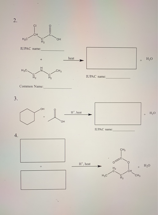 Solved CHEM1152 Ch16/18 Worksheet A condensation reaction | Chegg.com