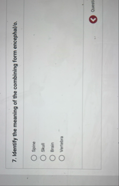 Solved Identify the meaning of the combining form | Chegg.com