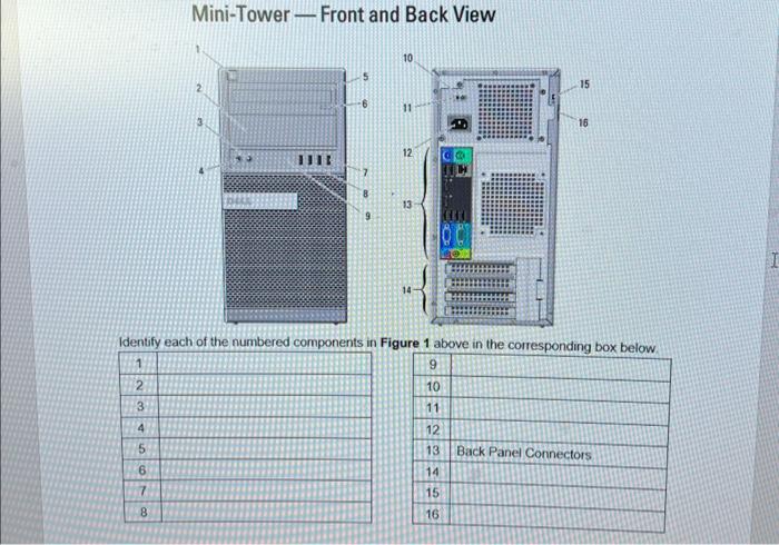 Solved Mini-Tower - Front and Back View Identify each of the | Chegg.com