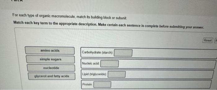 Solved Reset Help For each type of organic macromolecule, | Chegg.com