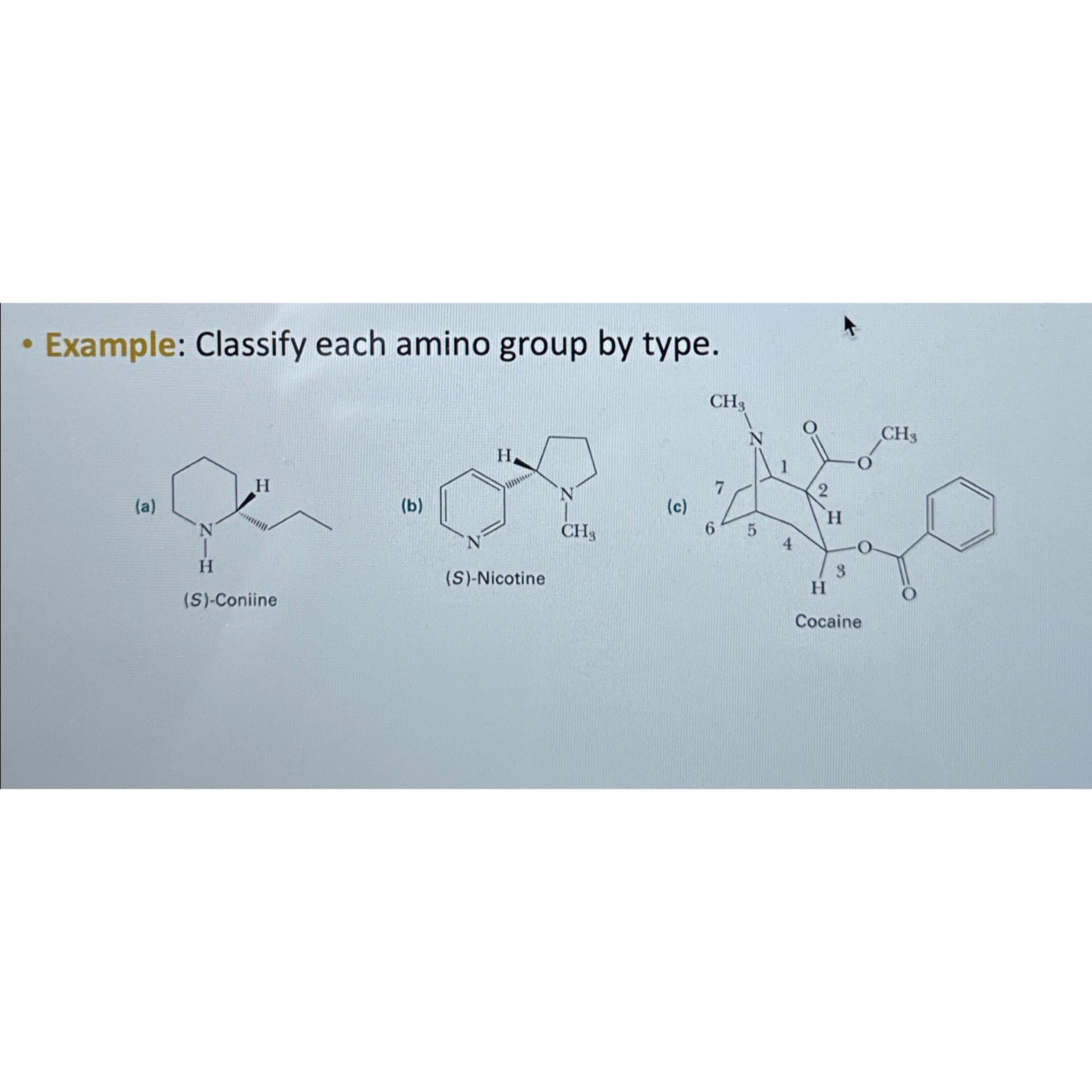 Solved Example: Classify each amino group by | Chegg.com