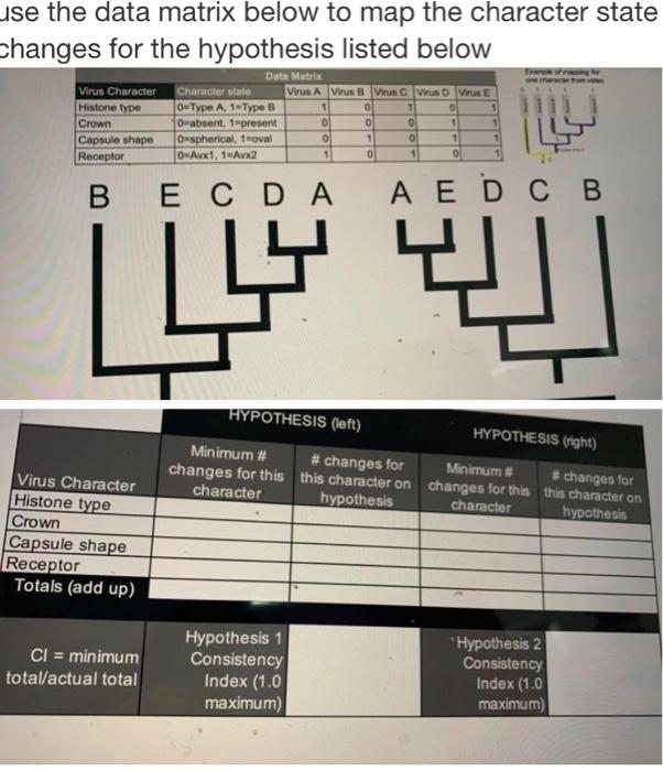 Solved use the data matrix below to map the character state | Chegg.com