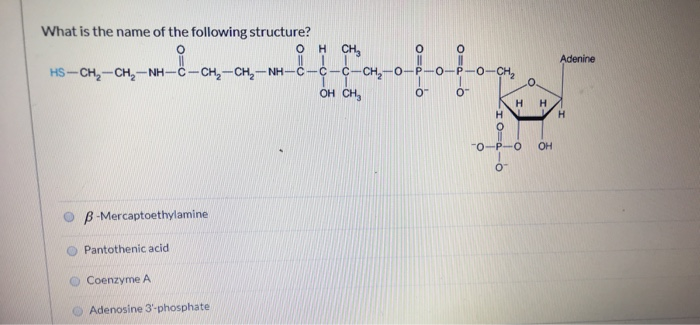 Solved 0 What is the name of the following structure? O O | Chegg.com