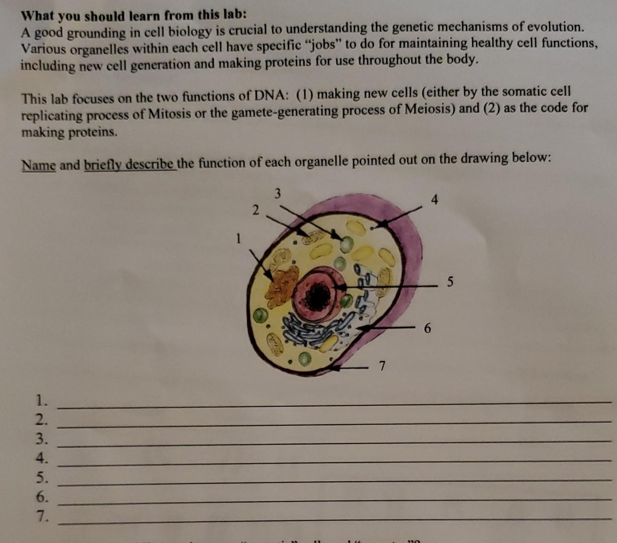 What you should learn from this lab: A good grounding | Chegg.com