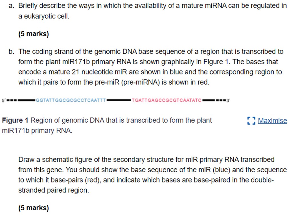 Solved Figure 1 ﻿Region of genomic DNA that is transcribed | Chegg.com